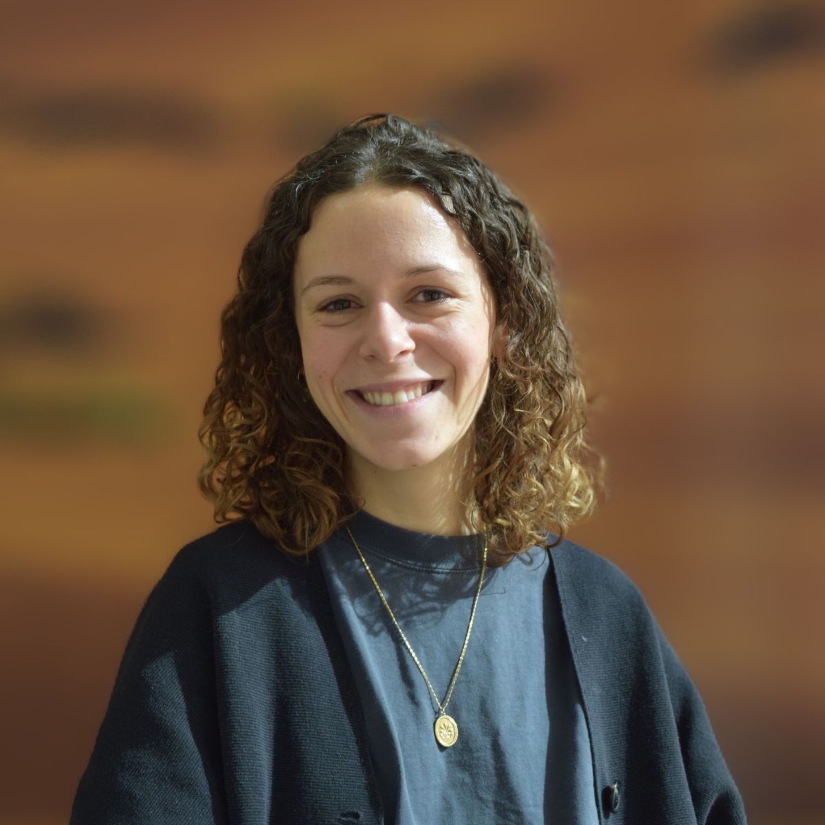 Maintenance Prédictive appliquée au Rail